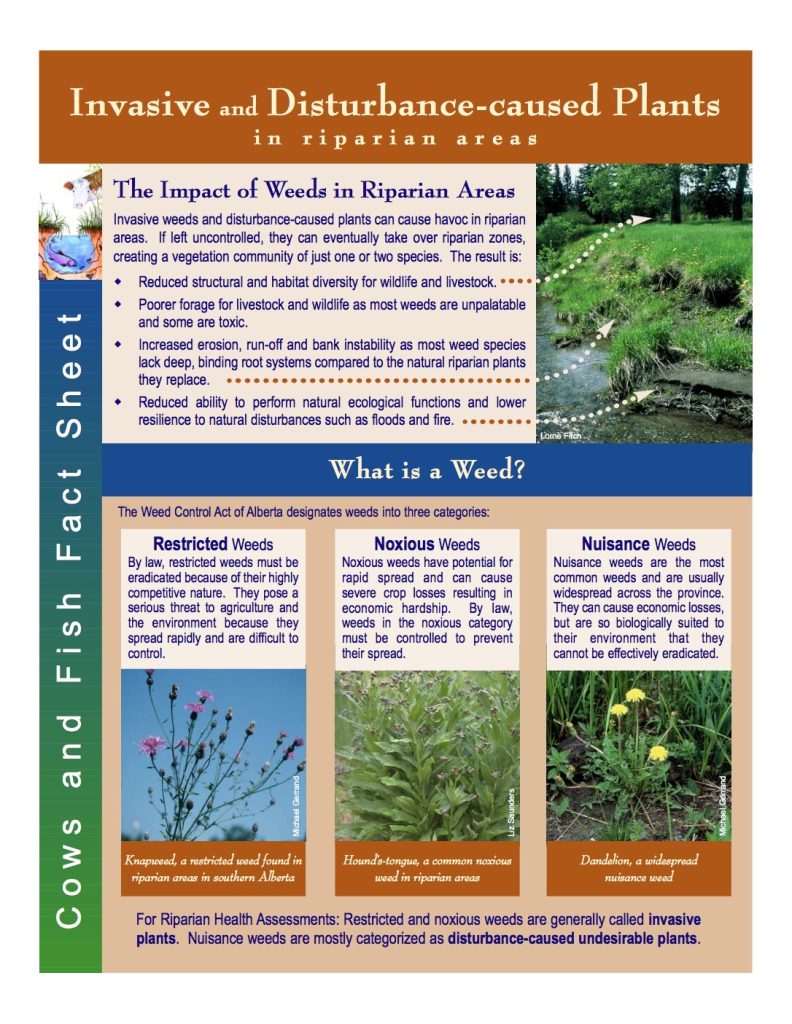 Category: Riparian Health Assessment | Cows and Fish