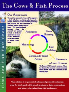 The Cows and Fish Process | Cows and Fish