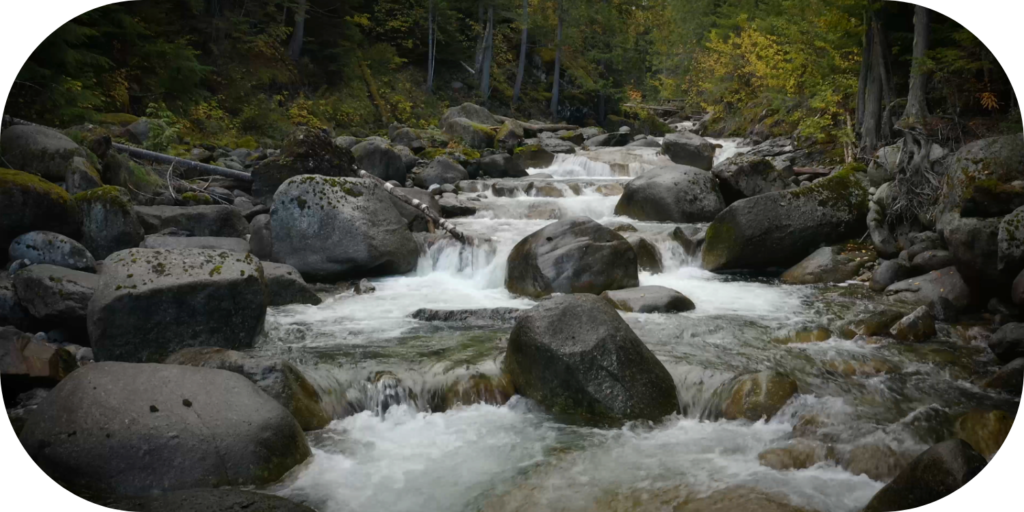 Project Highlights: Our Work in Alberta | Cows & Fish