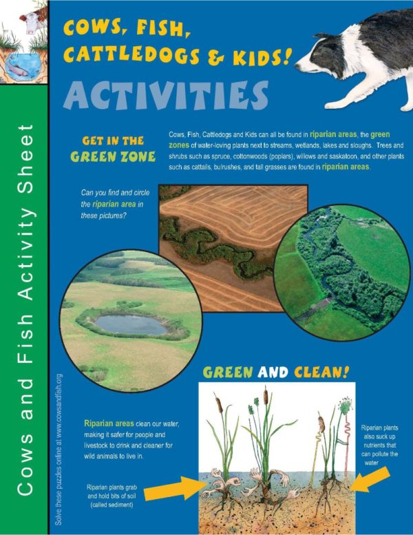 Category: Fact Sheets | Cows and Fish