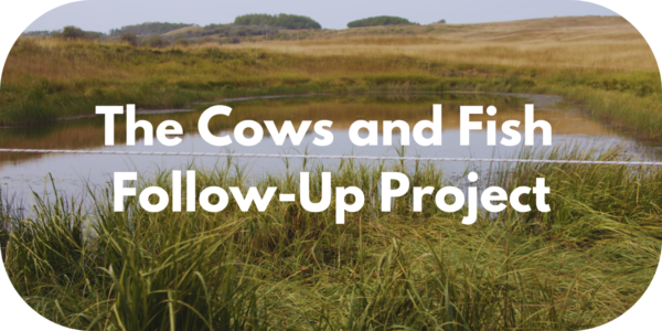 Project Highlights: Our Work in Alberta | Cows and Fish