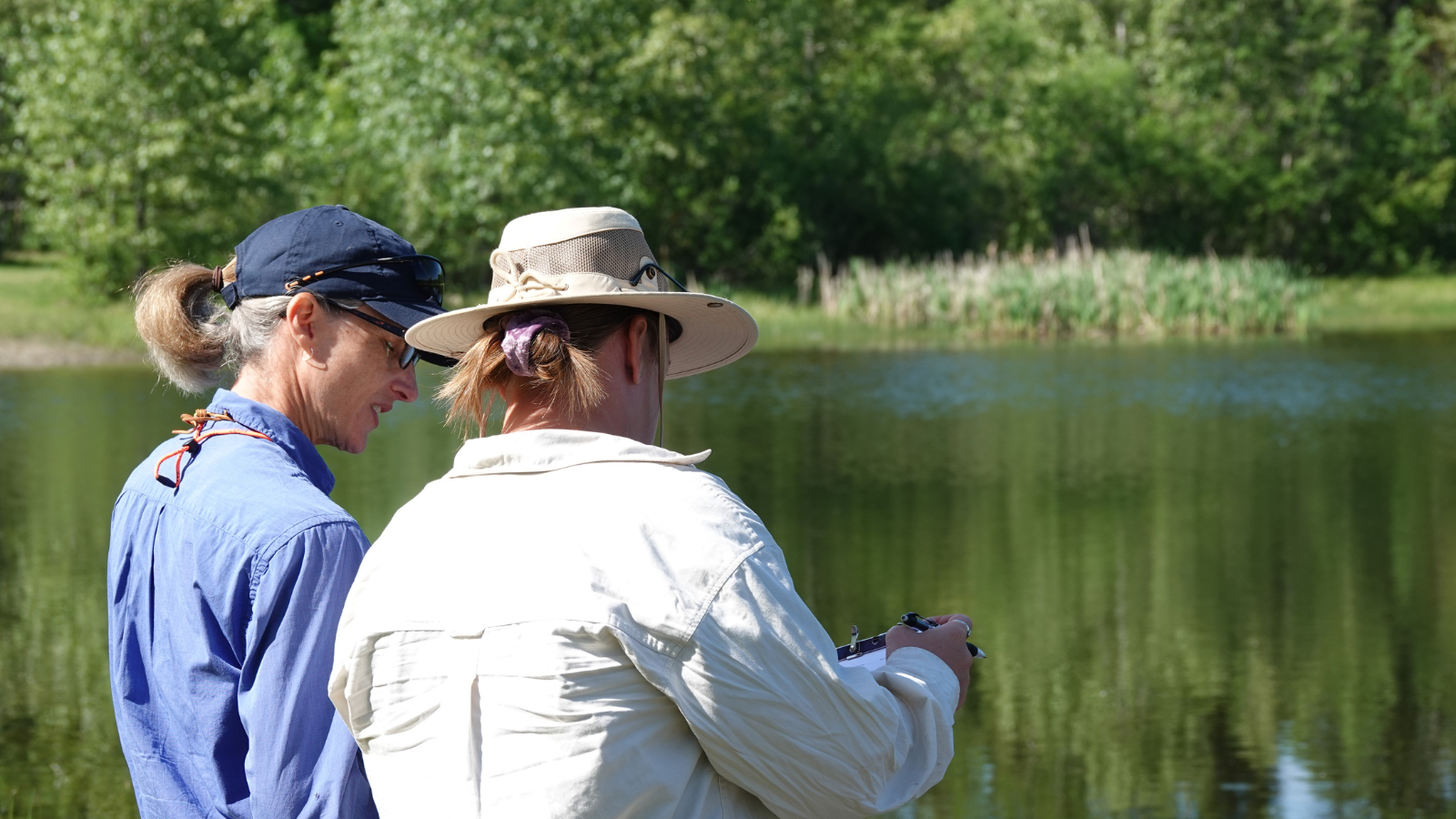 About Us | Cows and Fish